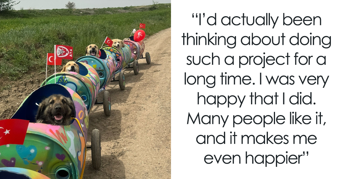 Netizens Can’t Get Enough Of This Woman Who Built Her Rescued Dogs A ...