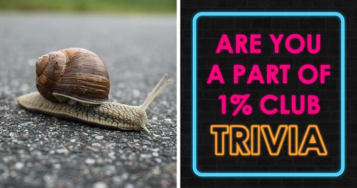 “Can You Think Like The 1%?”: Let’s Put That To The Test With This 30 ...