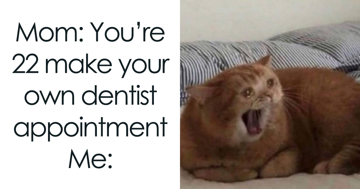 40 Memes That Hit Harder Than Small Talk At A Party You Didn’t Want To ...