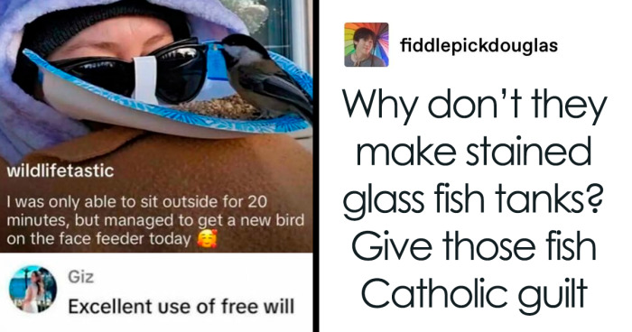50 Times People Dropped Sentences That Probably Only They Could Have ...