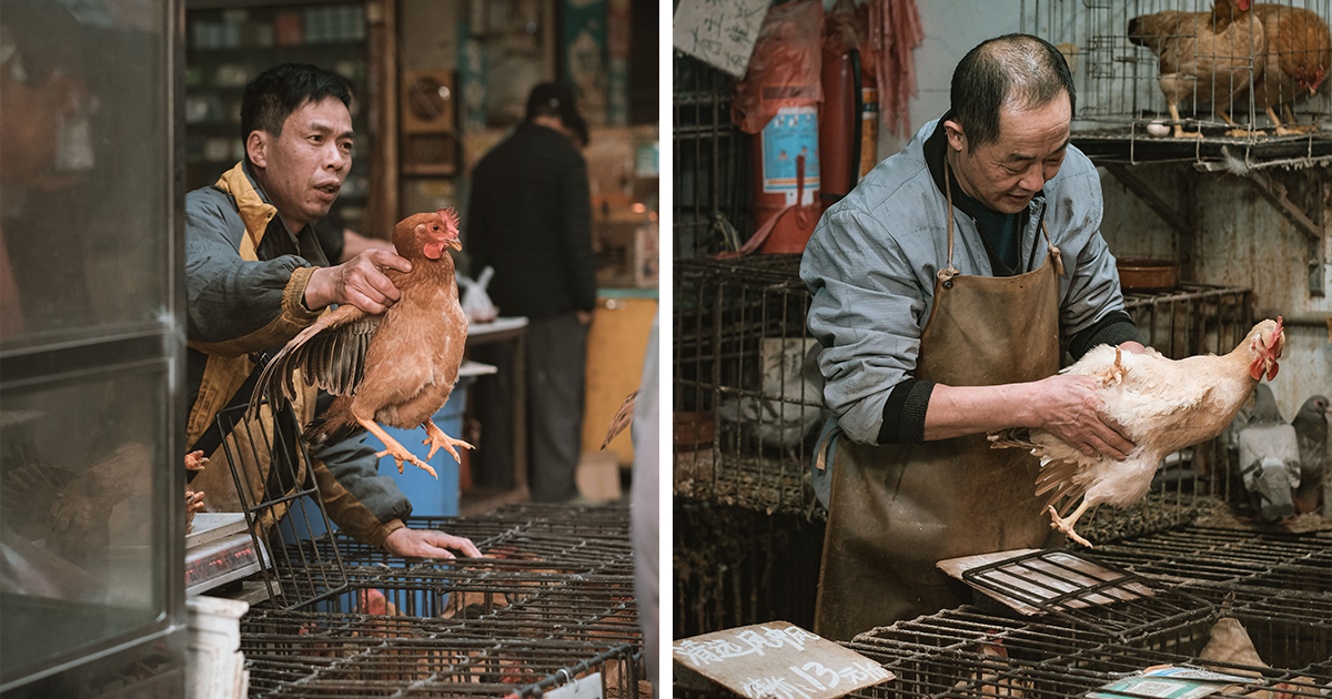 21 Photos I Took To Show The Authentic Side Of A Farmers’ Market In ...