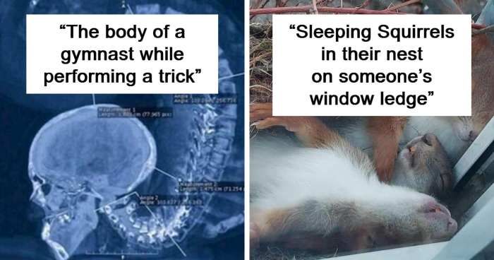 50 Interesting Images And Facts That Are Simply Amazing (New Pics ...