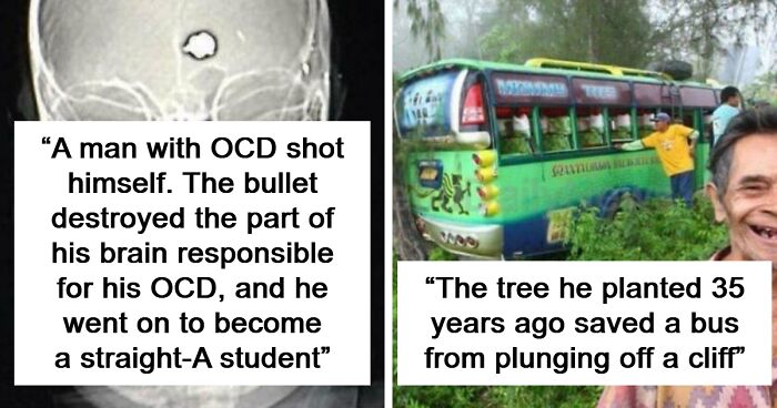 50 Interesting Images And Facts That Are Simply Amazing (New Pics ...