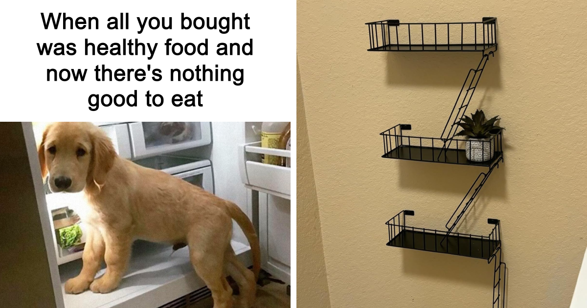 We’re Obsessed With These 50 Strange Items That Solve Real Problems ...