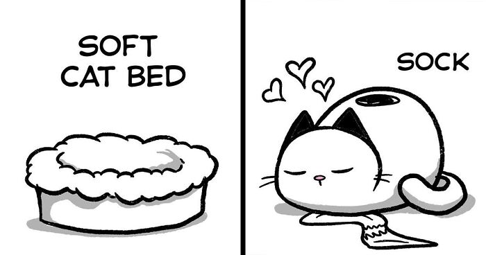 20 Comics That Highlight Hilariously Relatable Cat Behaviors ...
