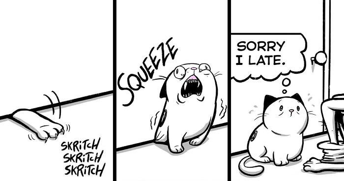 20 Comics That Highlight Hilariously Relatable Cat Behaviors ...