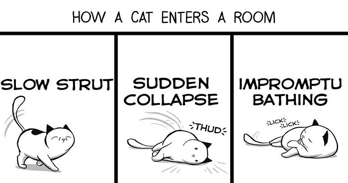20 Comics That Highlight Hilariously Relatable Cat Behaviors, Illustrated By Lucas Turnbloom ...