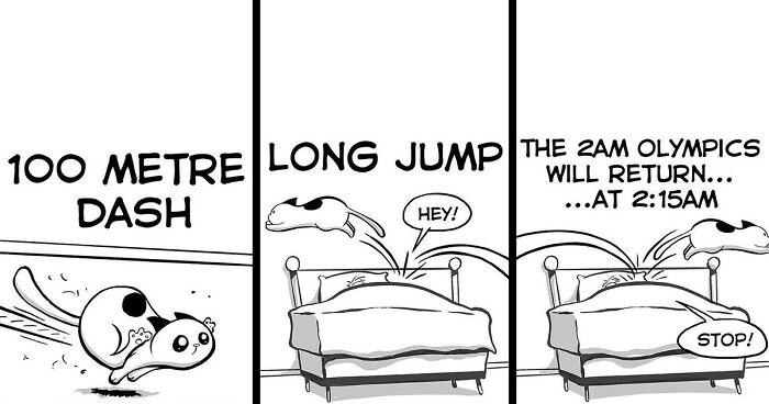 20 Comics That Highlight Hilariously Relatable Cat Behaviors ...