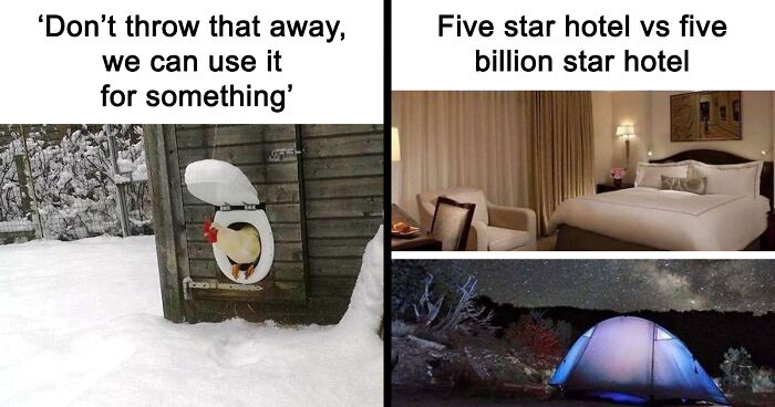 50 Funny Memes That Show Why Country Living Isn’t As Peaceful As You ...