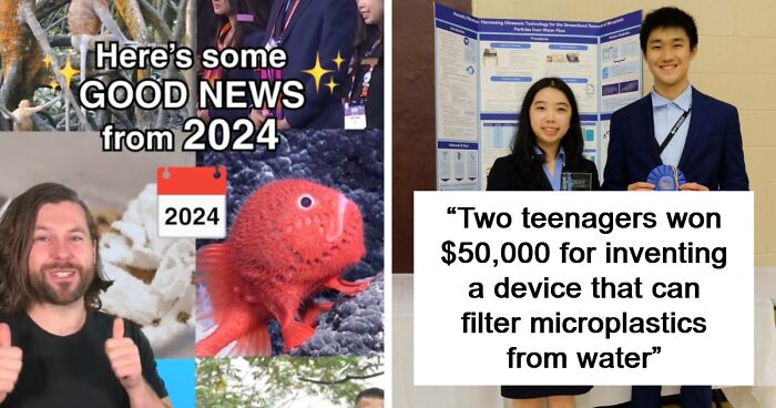 12 Of The Most Uplifting Pieces Of News From 2024 For Those Who Are Fed ...