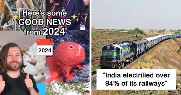 12 Of The Most Uplifting Pieces Of News From 2024 For Those Who Are Fed ...