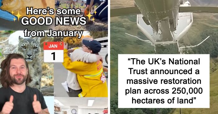 Here Are Some Of The Best News Stories From January That Might Restore ...