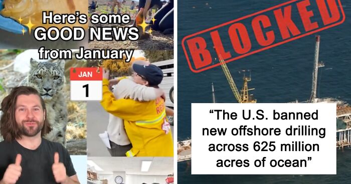 Here Are Some Of The Best News Stories From January That Might Restore ...