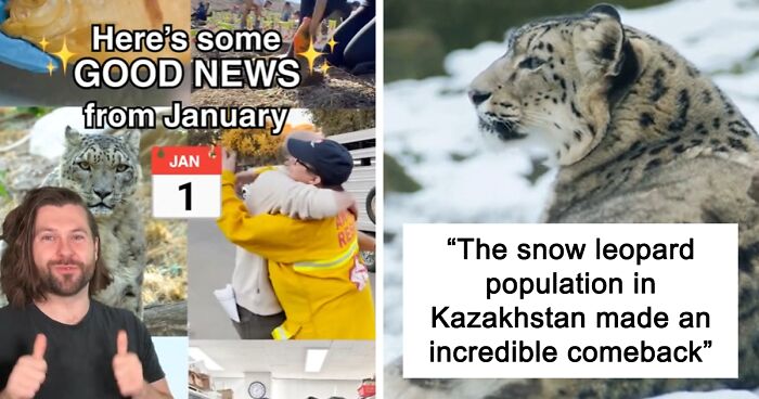 Here Are Some Of The Best News Stories From January That Might Restore ...