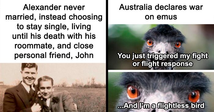 Best Of All Time: 50 Timeless Jokes That Bring The Past To Life