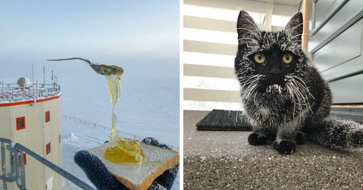 88 Wild Winter Photos That Will Give You Frostbite Just By Looking At ...