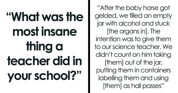 Funny, Creepy, And Nasty, Here Are 22 Insane Things That These Teachers ...