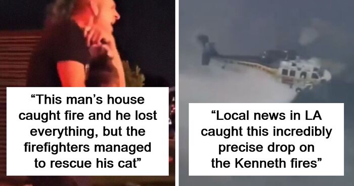 In The Midst Of The LA Fires, 28 Wholesome Moments Offer A Glimpse Of ...