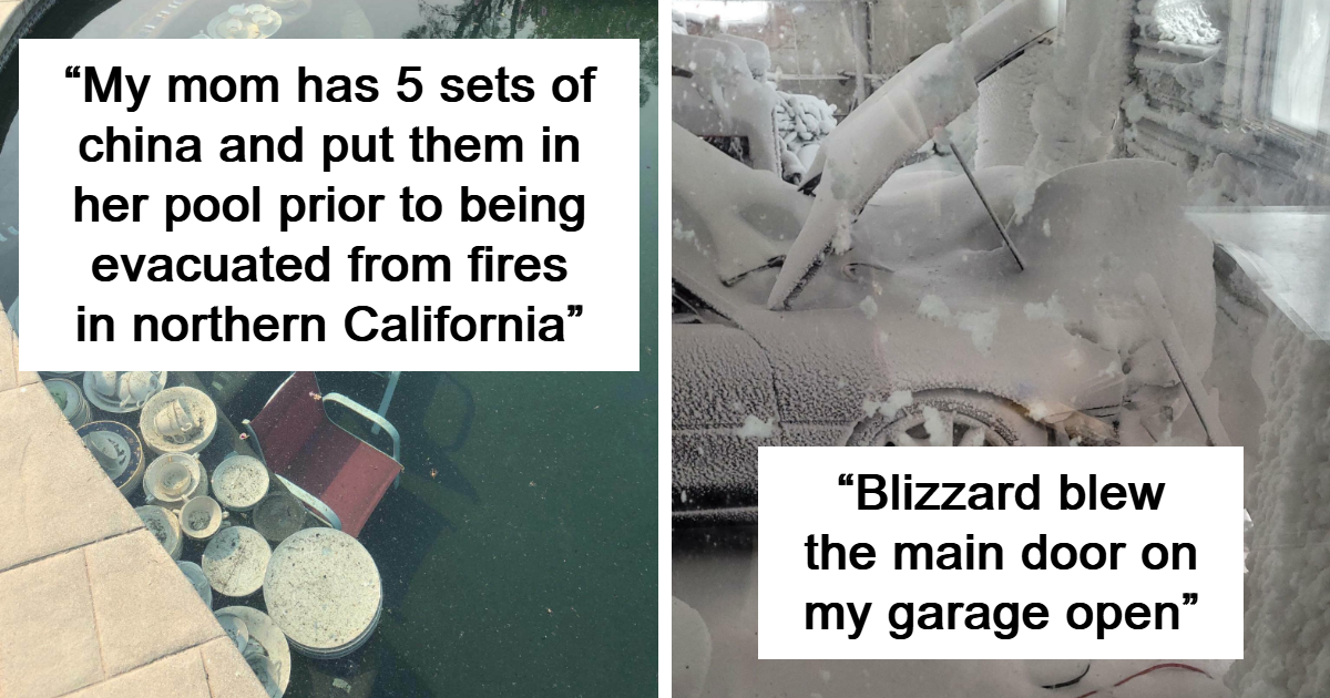 50 Times Humans And Animals Refused To Bow To The Fury Of Nature (New Pics) | Bored Panda