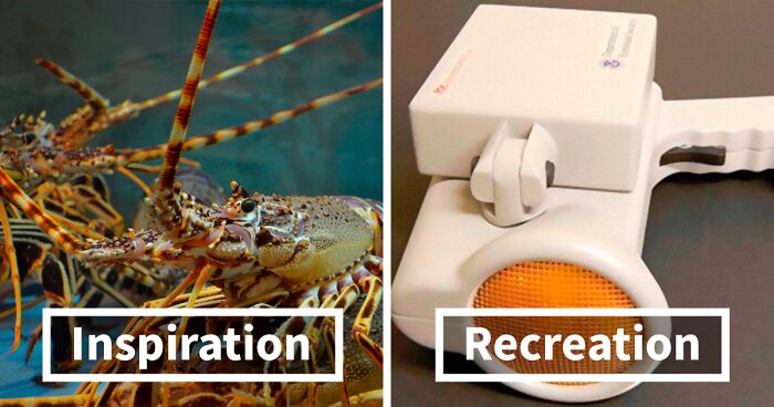 30 Man-Made Innovations That Were Designed Mimicking Nature’s Blueprints