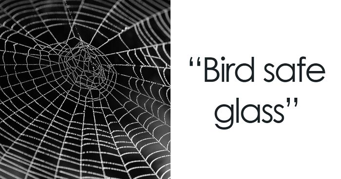 30 Man-Made Innovations That Were Designed Mimicking Nature’s Blueprints