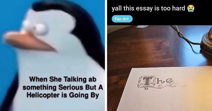 35 Out-Of-Pocket Random And Silly Memes That May Be Just What The ...