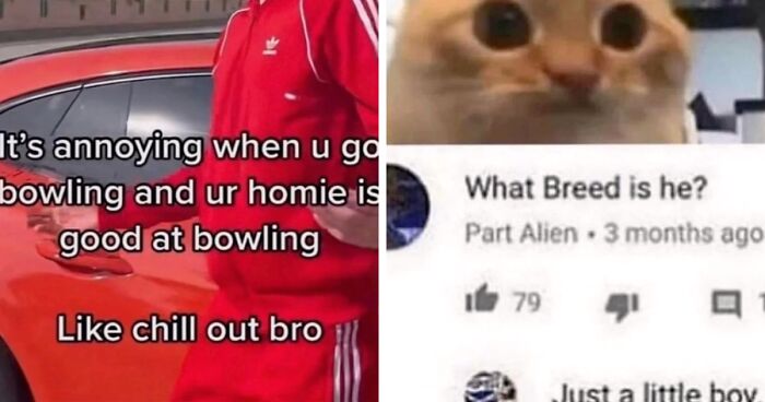 35 Out-Of-Pocket Random And Silly Memes That May Be Just What The ...