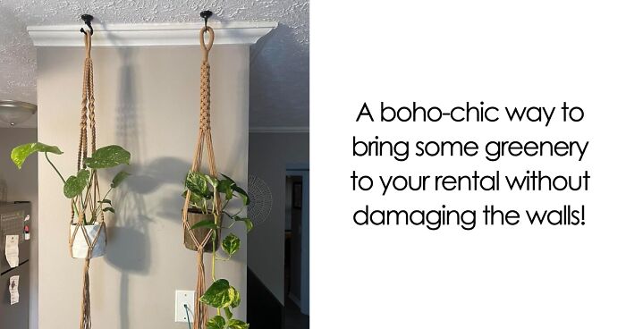 22 Rental-Friendly Upgrades That Prove You Don’t Have To Lose Your ...