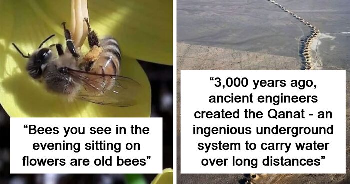 30 Fun, Interesting, And Strange Facts You Might Not Have Heard Of Before