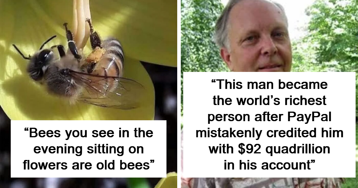 30 Fun, Interesting, And Strange Facts You Might Not Have Heard Of ...