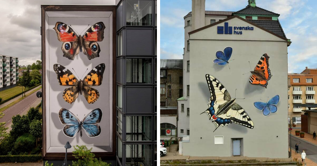 Specimen Boxes: 33 Giant Butterfly Murals Painted By This French Artist Across The World (New ...