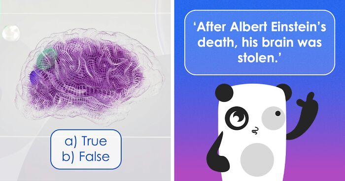 “Weird, Right?”: 15 Odd Truths That Prove History Is Stranger Than ...