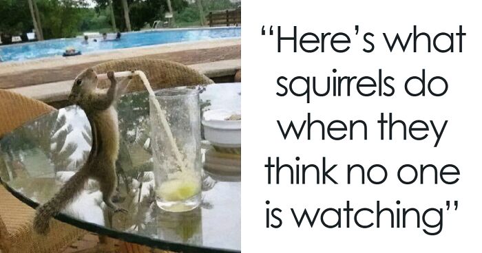 50 Times People Were So Stunned By What They Were Seeing, They Had To ...