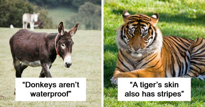 When Nature Gets Weird: 50 Odd Facts That May Leave You Looking At The ...