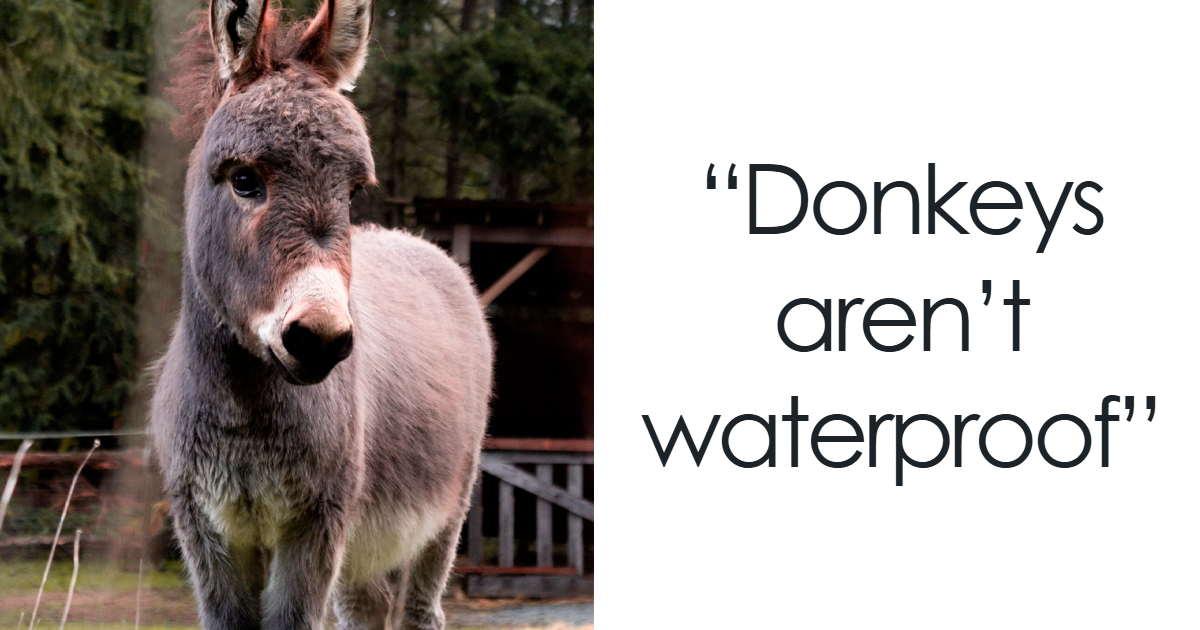 When Nature Gets Weird: 50 Odd Facts That May Leave You Looking At The ...