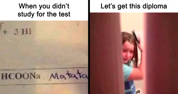 30 Funny Student Memes That Show What Life Is Like At College