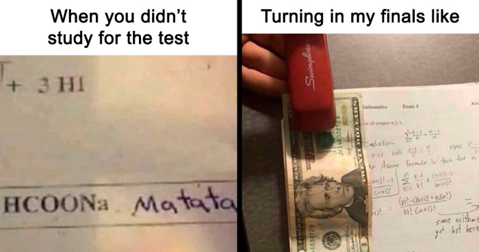 30 Funny Student Memes That Show What Life Is Like At College