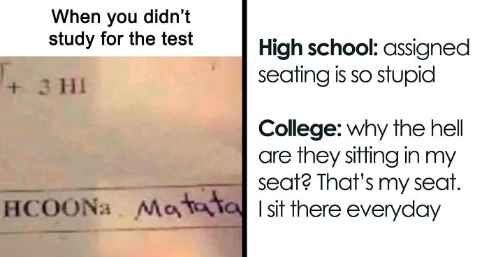30 Funny Student Memes That Show What Life Is Like At College