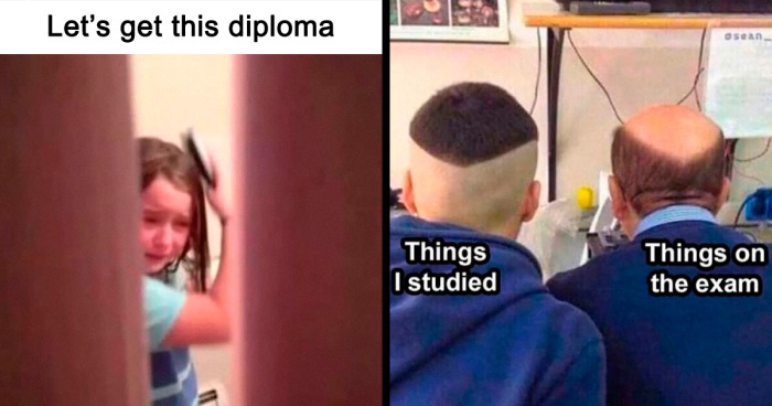 30 Funny Student Memes That Show What Life Is Like At College