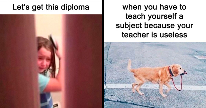 30 Funny Student Memes That Show What Life Is Like At College