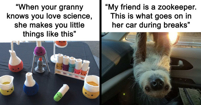 50 Wholesome Pics That Hit Harder Than A Pixar Montage (Best Of All Time)