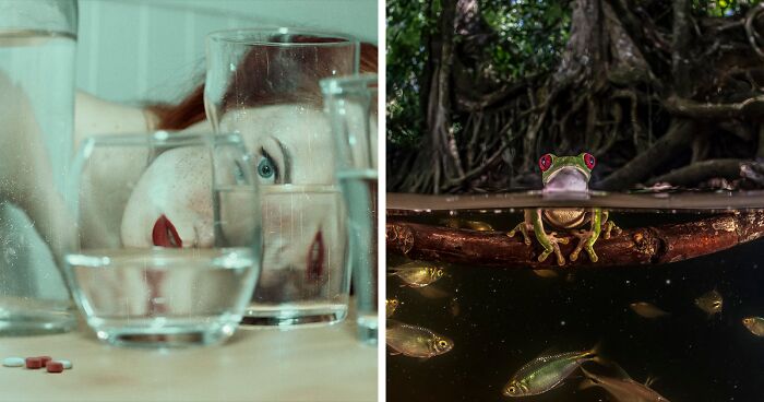 The 41 Most Stunning Winning Photos Of 2024 reFocus Photographer Of The ...