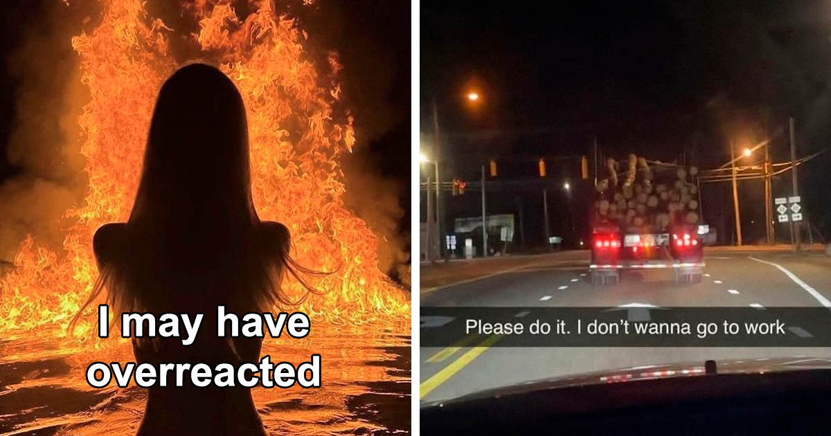 40 Funny Pics To Scroll Through As You’re Having Your Third Mental ...