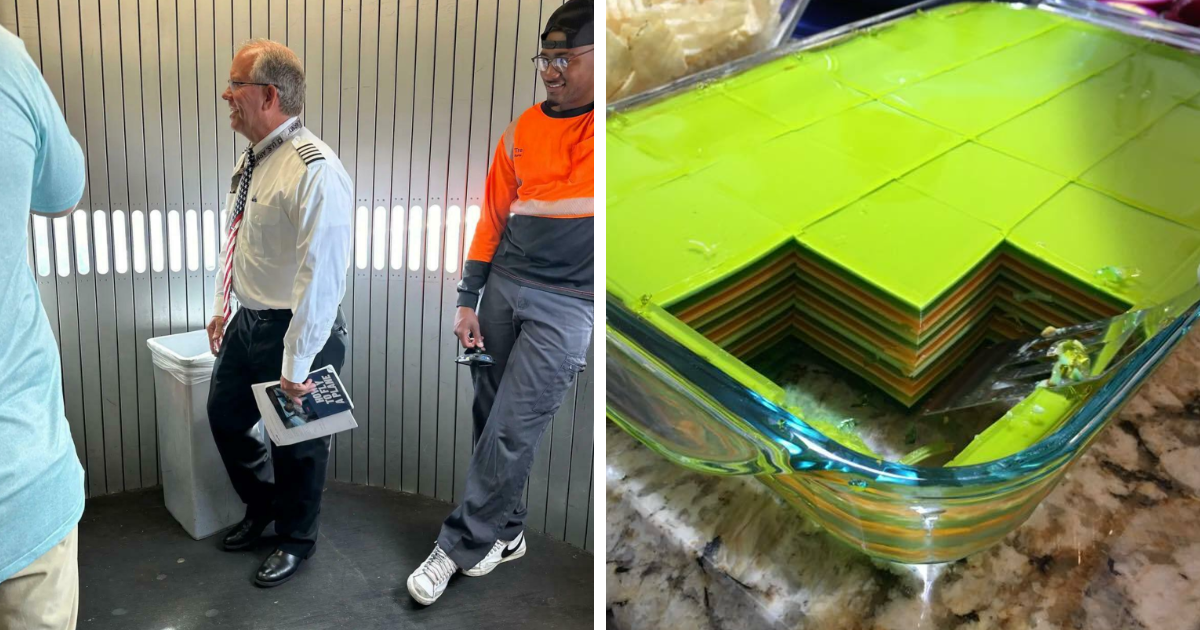 These 50 ‘Mildly Interesting’ Pics Are Actually Wildly Intriguing (Best ...