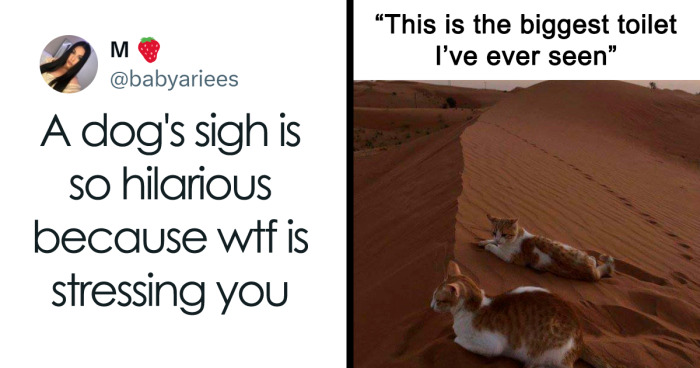 50 Memes And Jokes You Shouldn’t Read If You Don’t Want To Get Smile ...