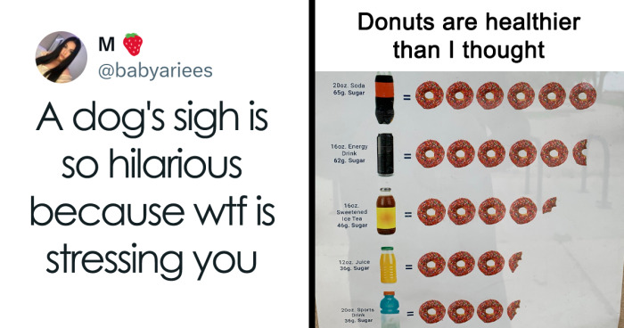 50 Memes And Jokes You Shouldn’t Read If You Don’t Want To Get Smile ...
