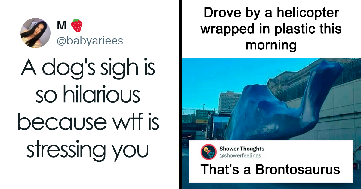 50 Memes And Jokes You Shouldn’t Read If You Don’t Want To Get Smile ...