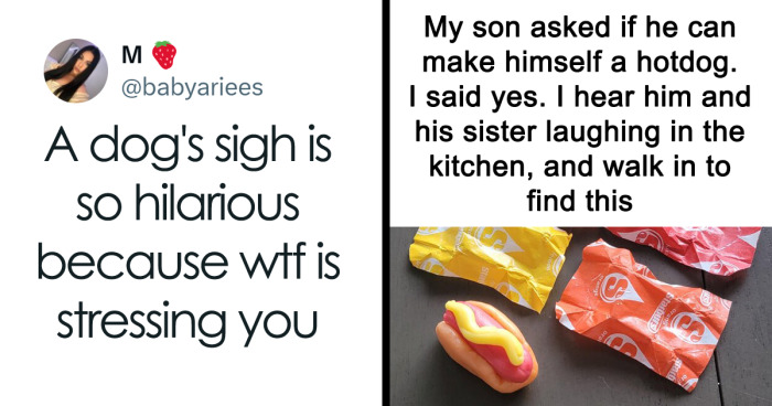50 Memes And Jokes You Shouldn’t Read If You Don’t Want To Get Smile ...