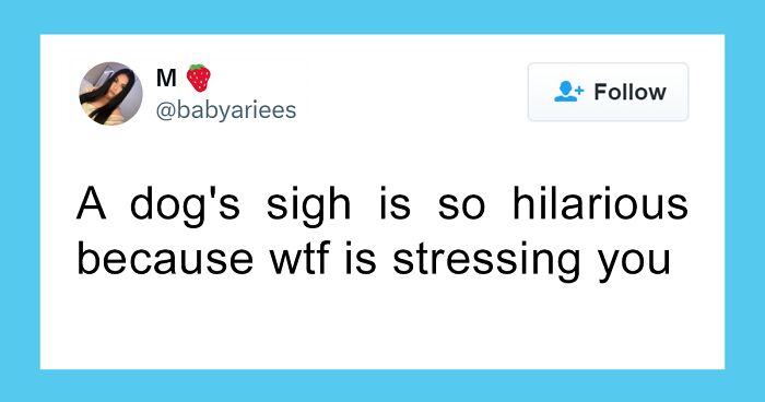 50 Memes And Jokes You Shouldn’t Read If You Don’t Want To Get Smile ...