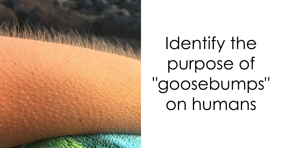 “Think You Know Useless Facts?”: This 35-Question Challenge Will Test ...